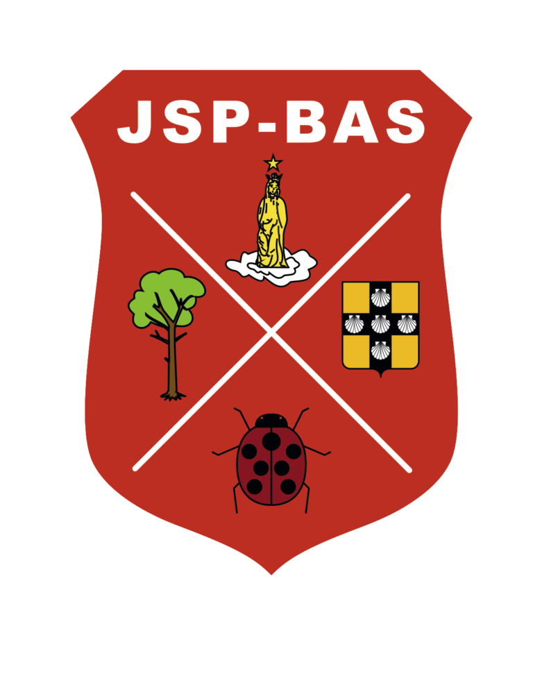 JSP 2 - 2021 - JSP BAS